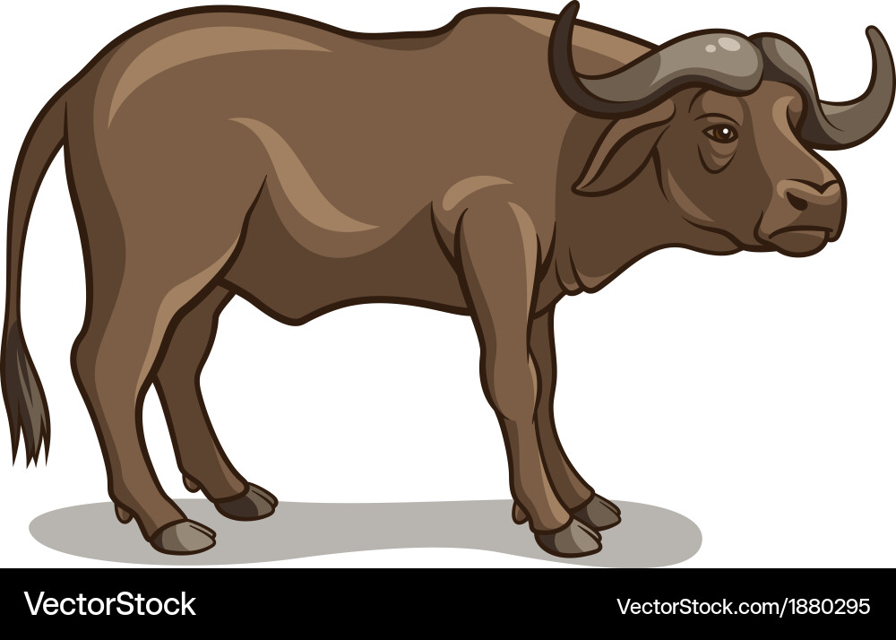 Angry Buffalo Royalty Free Vector Image - VectorStock