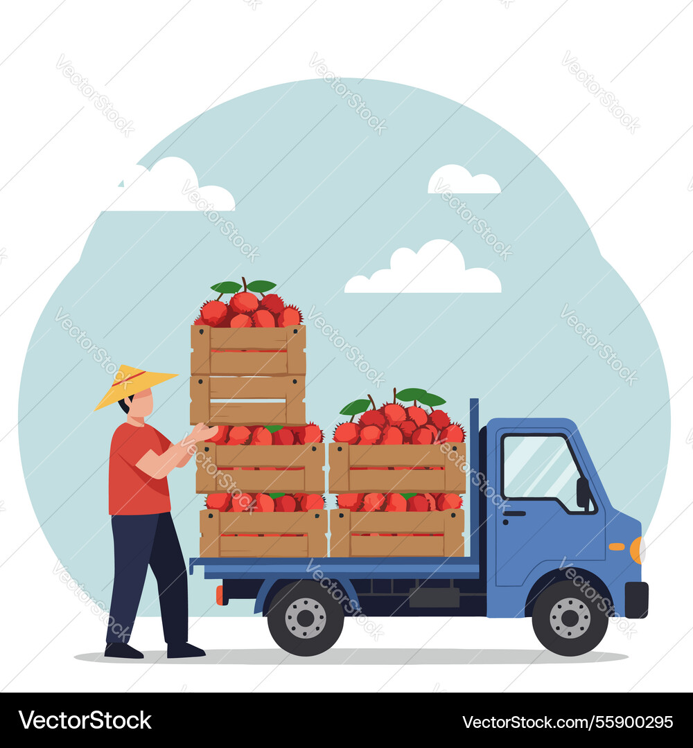 Loading fresh fruit truck transportation of local Vector Image