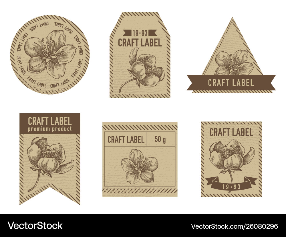 Craft labels with sakura Royalty Free Vector Image