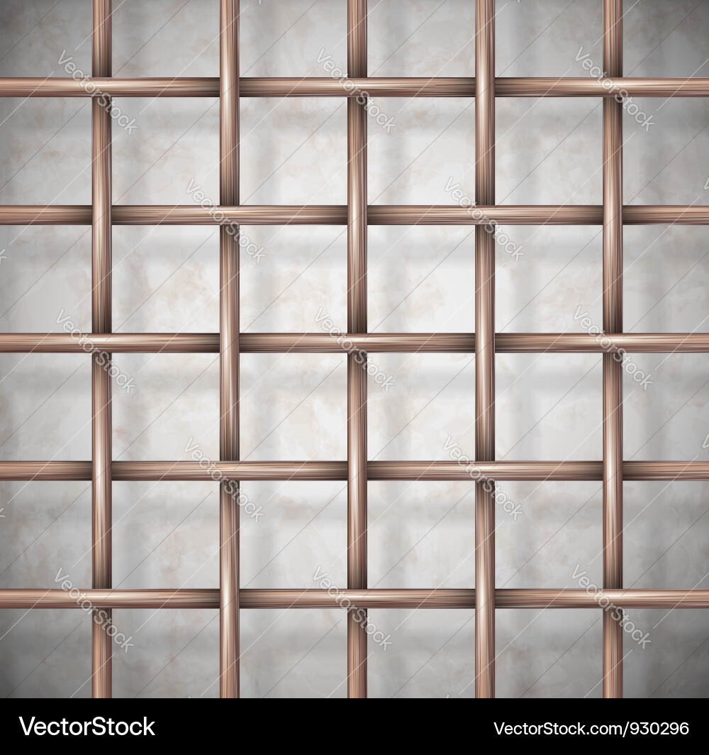 Metal Mesh Barrier Royalty Free Vector Image - VectorStock