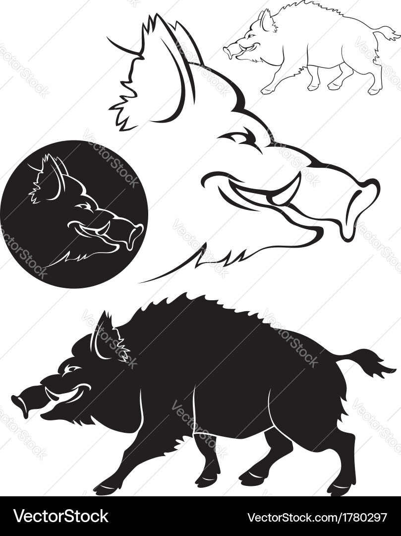 Boar Royalty Free Vector Image - VectorStock