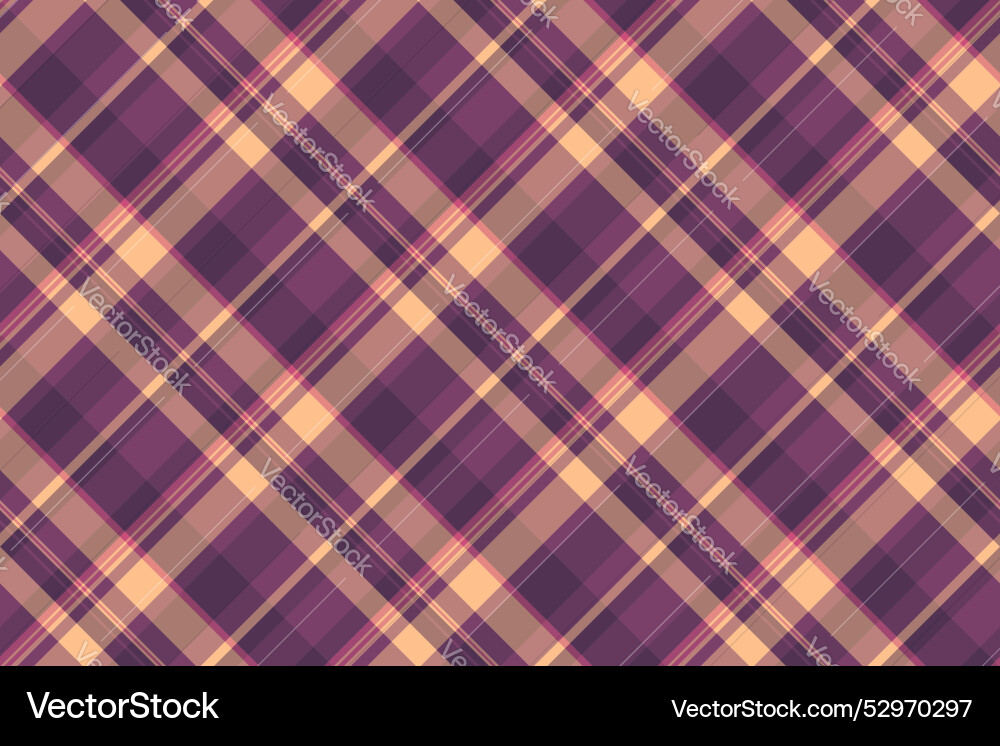 Girl fabric plaid day background texture textile Vector Image