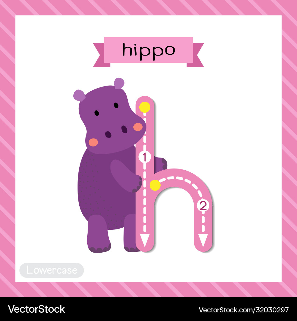 Letter h lowercase tracing standing hippo Vector Image
