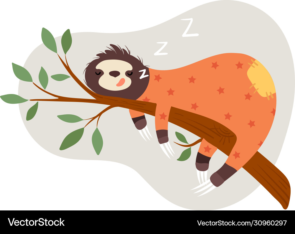 Sloth sleep on branch concept Royalty Free Vector Image
