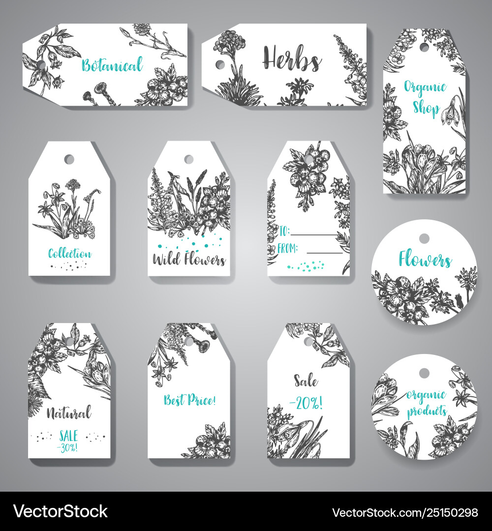 Hand drawn herbs and wild flowers tags labels Vector Image