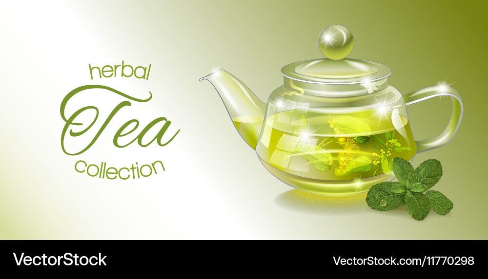 Herbal tea banner Royalty Free Vector Image - VectorStock