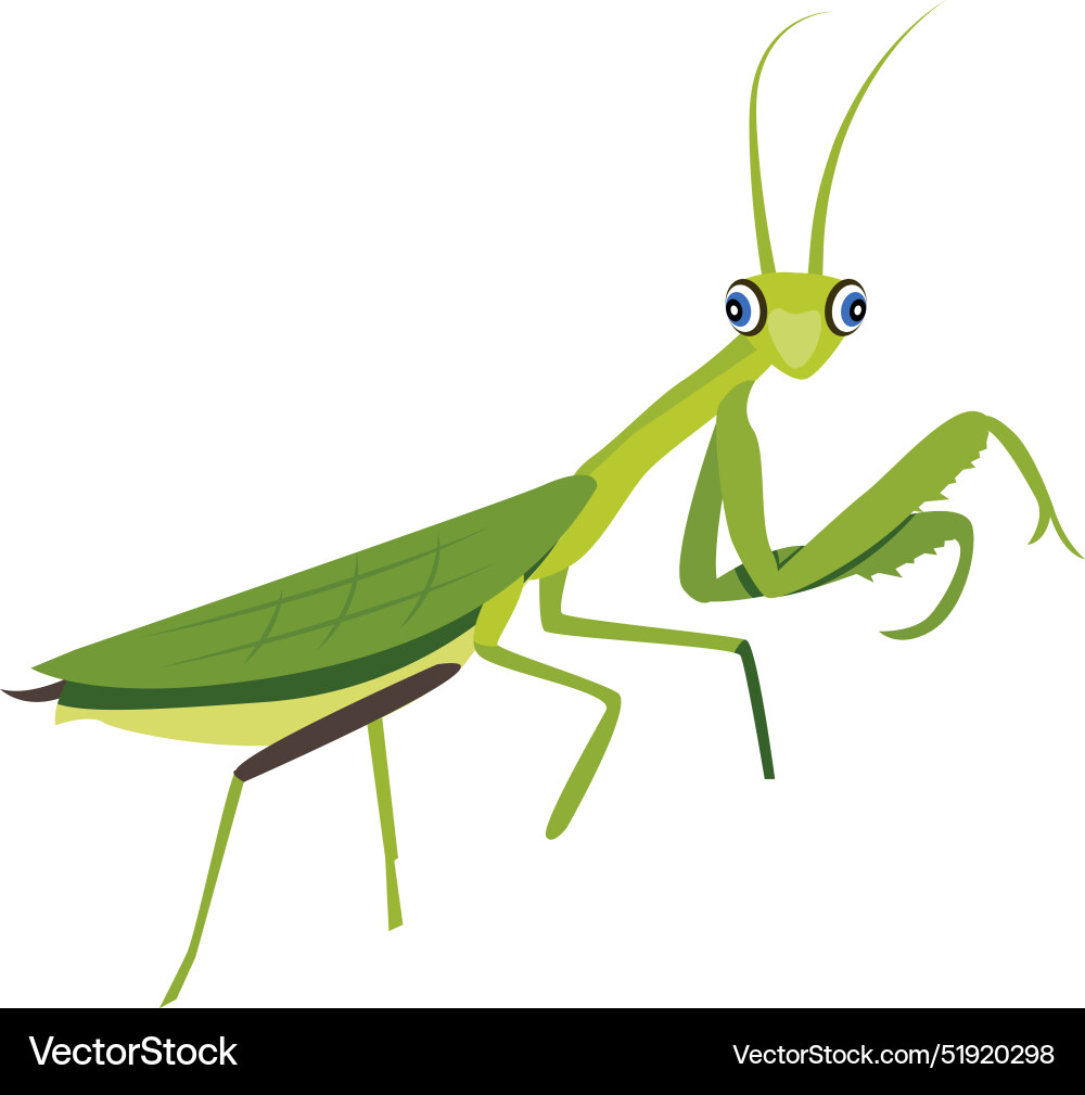 Weba flat style icon of tropical mantis Royalty Free Vector