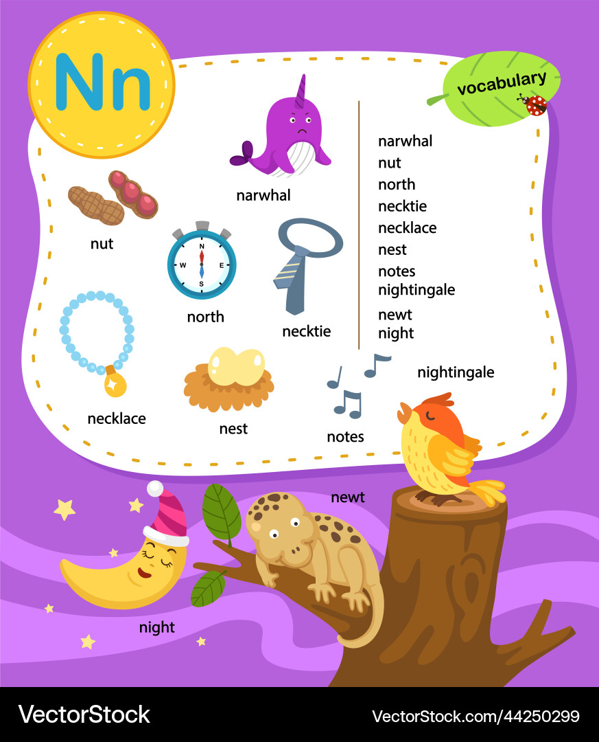 Alphabet N - Learning Vocabulary Royalty Free Vector Image