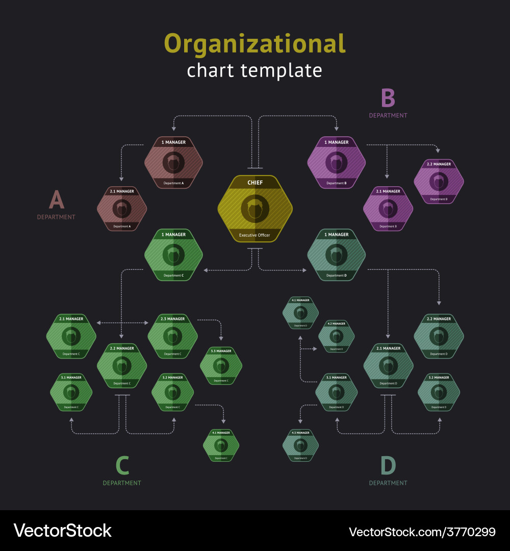 Organization chart Royalty Free Vector Image - VectorStock