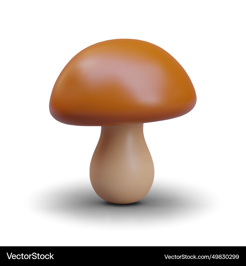 Popular edible mushroom in vertical position Vector Image