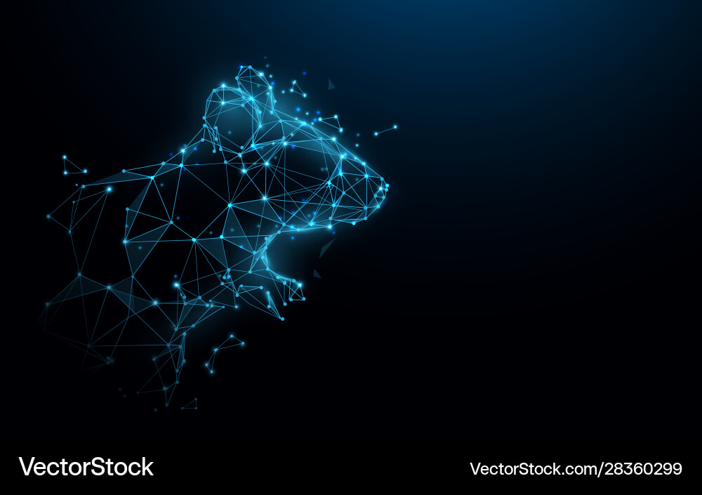 Rat form lines triangles and particle style Vector Image