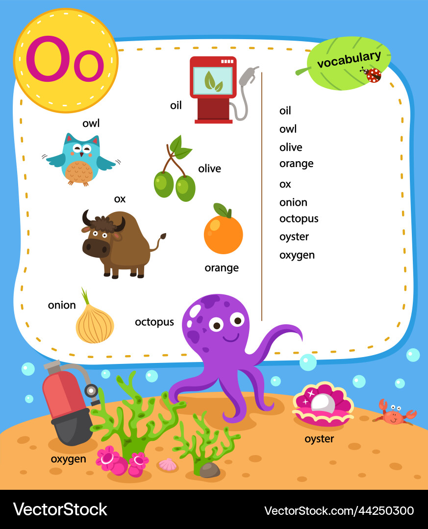 Alphabet letter o education vocabulary Royalty Free Vector