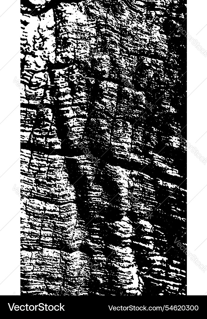 Black tree bark texture on a white Royalty Free Vector Image
