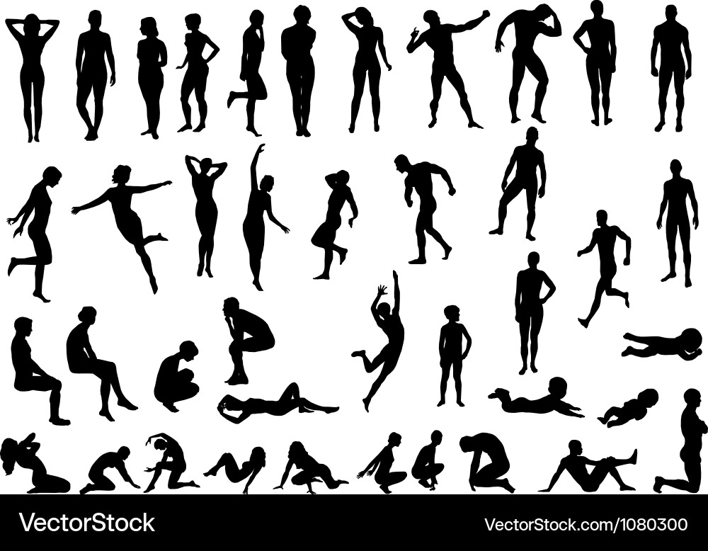 Body Royalty Free Vector Image - VectorStock