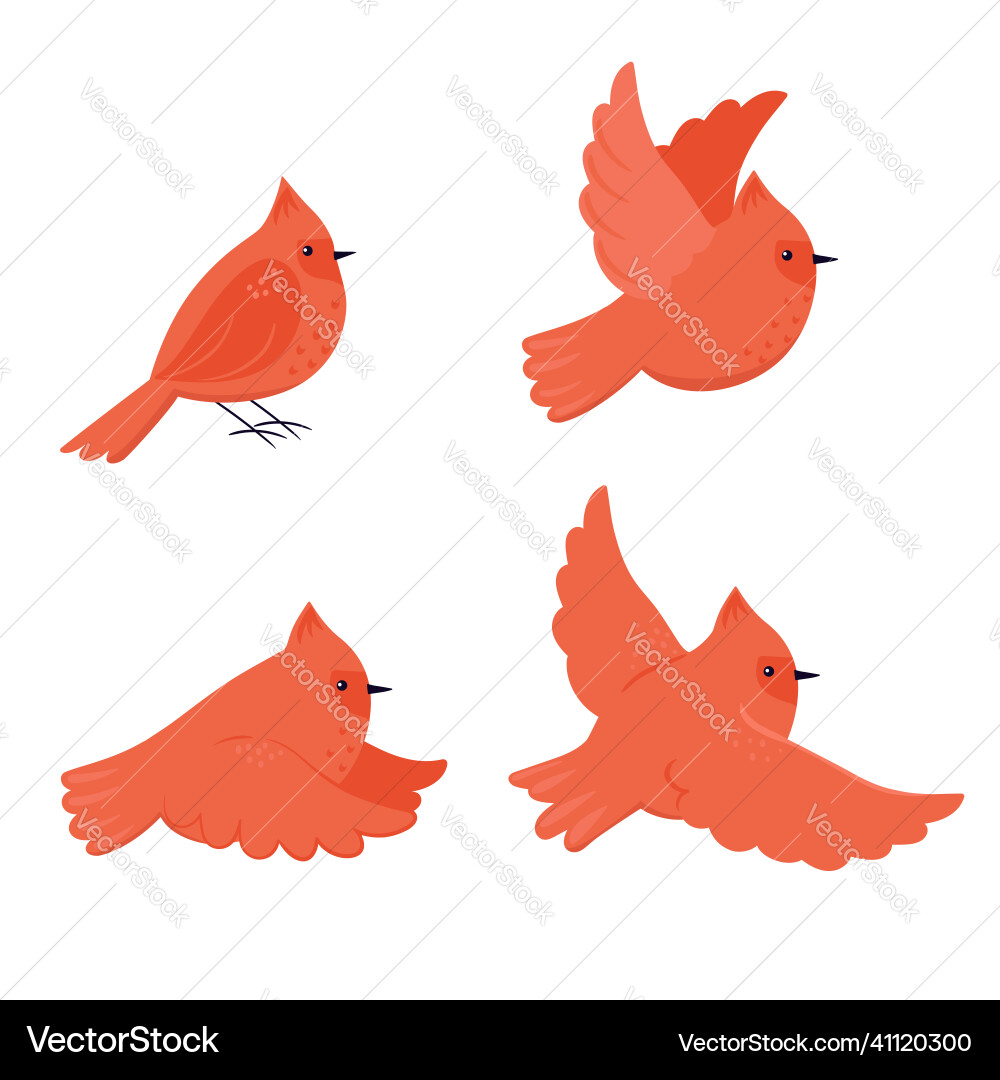 Red Cardinal Bird Set Royalty Free Vector Image
