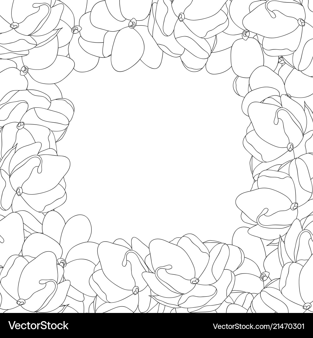 Arabian jasmine outline border Royalty Free Vector Image
