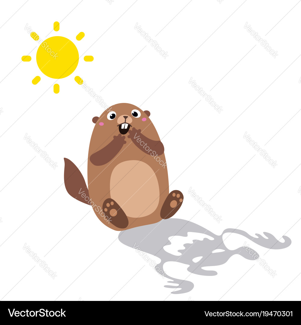 Shadow On Ground Cartoon