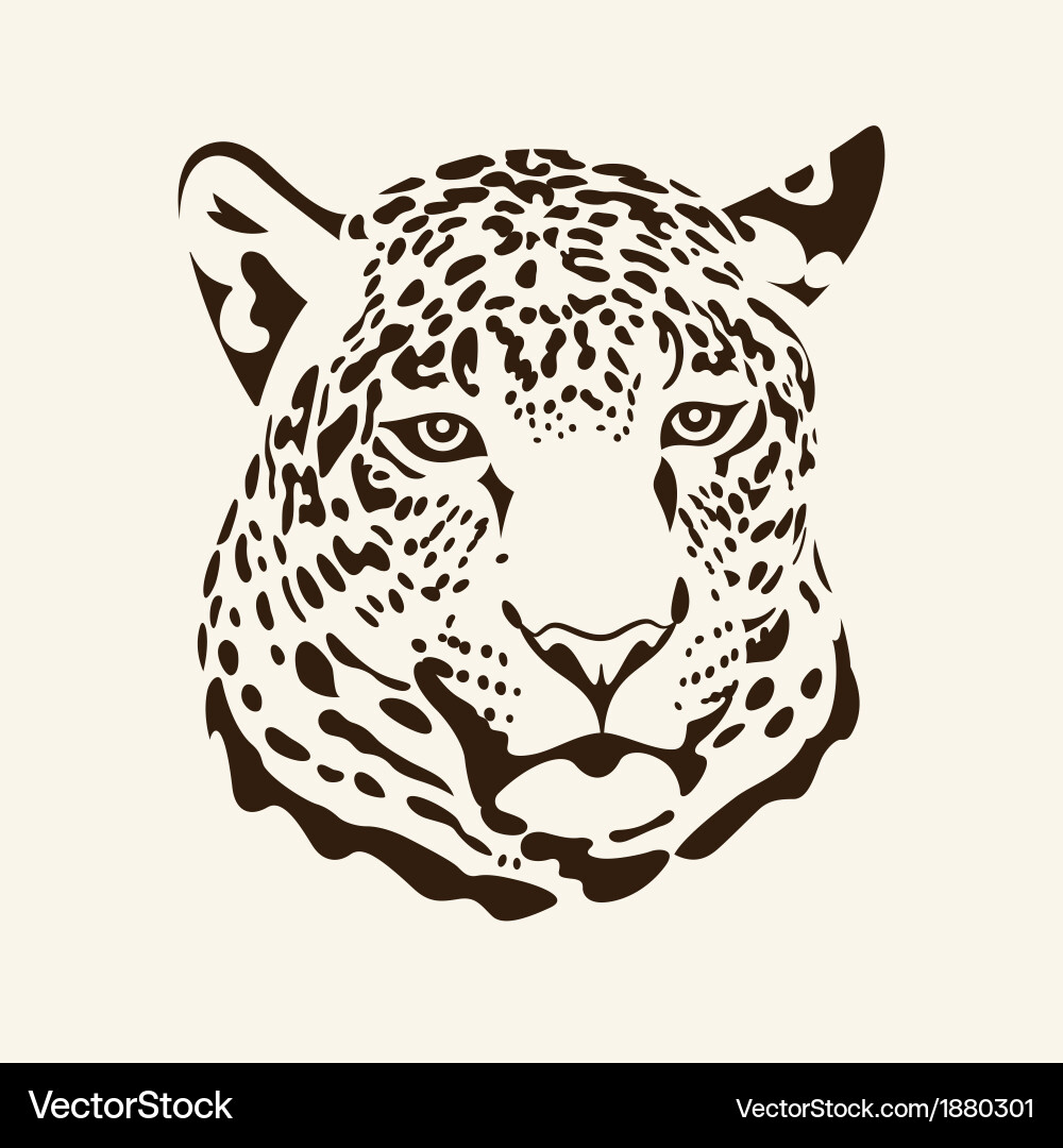 Leopard Royalty Free Vector Image - VectorStock