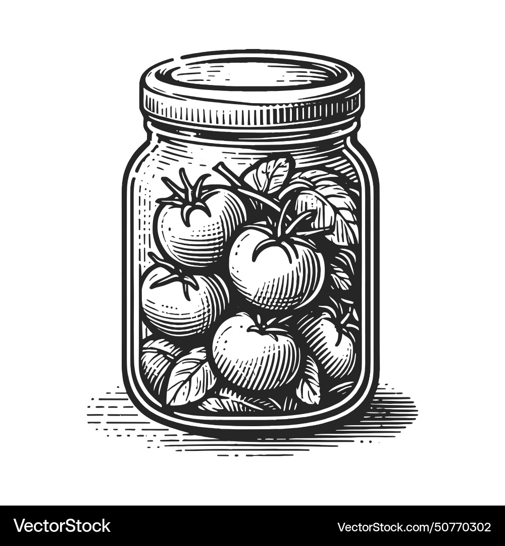 Canned tomatoes in jar engraving sketch Royalty Free Vector