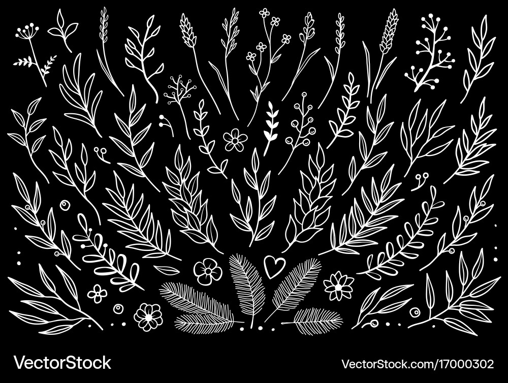 Tree branches set in chalkboard style Royalty Free Vector