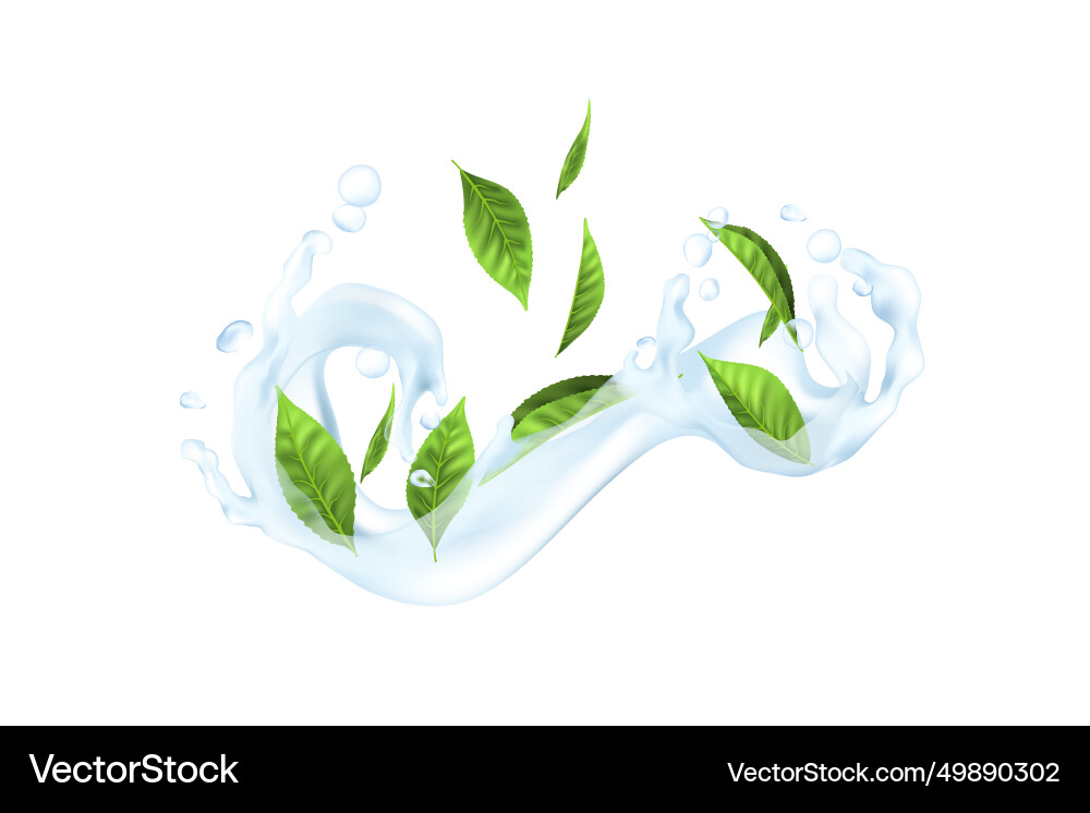 Water and leaf realistic green plants in stream Vector Image