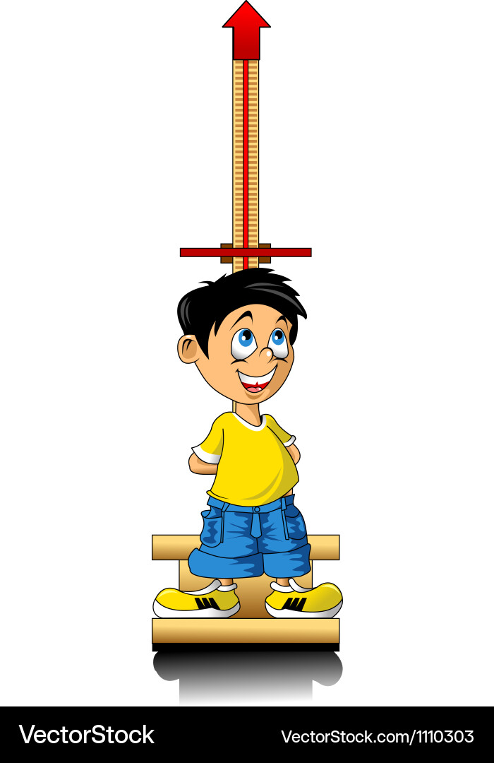 Measuring height Royalty Free Vector Image - VectorStock