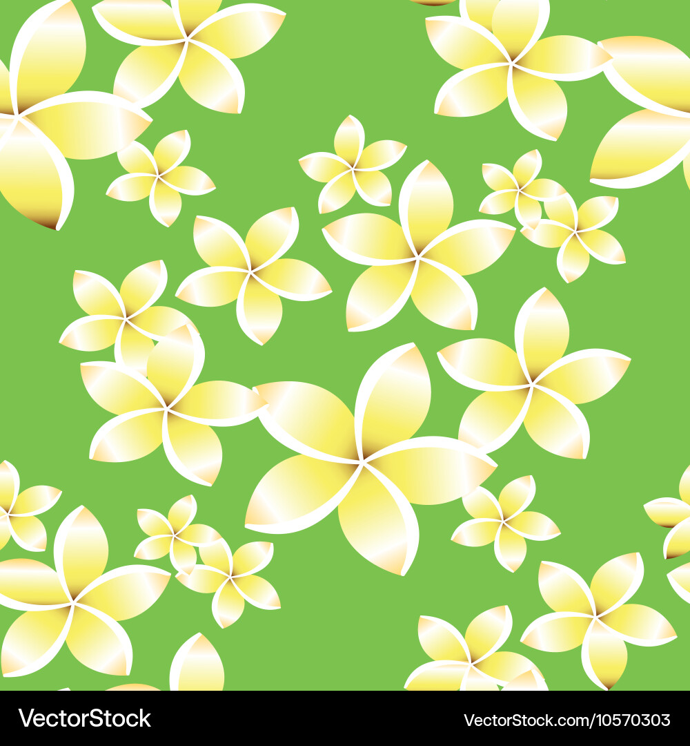 Seamless pattern with frangipani flowers Vector Image