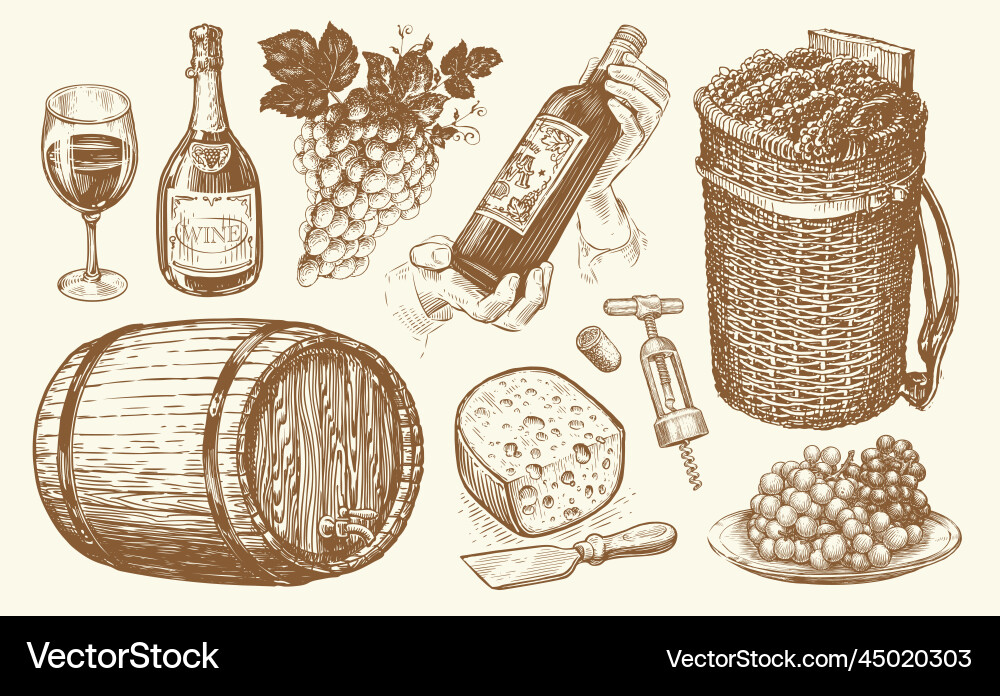 Wine concept vintage set bottle grapevine Vector Image