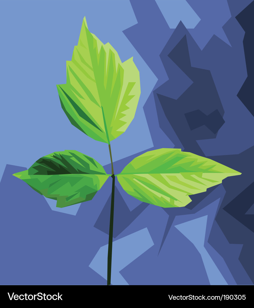 Leaves Royalty Free Vector Image - VectorStock