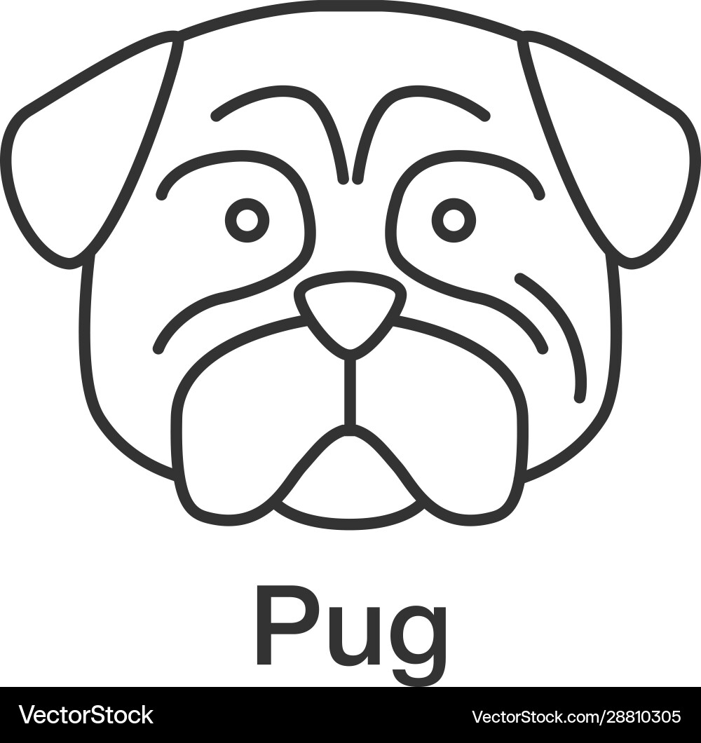 Pug linear icon Royalty Free Vector Image - VectorStock