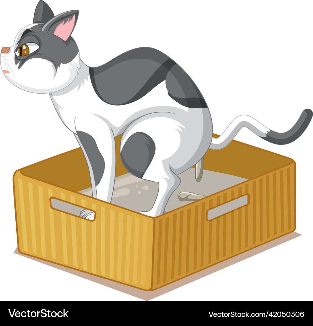 Cartoon cat pooping on sand box Royalty Free Vector Image