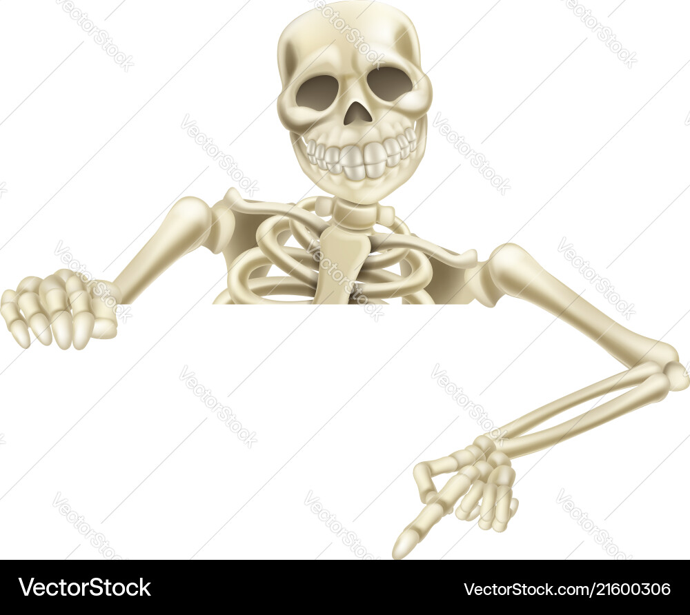 Skelleton Vector Images (over 460)