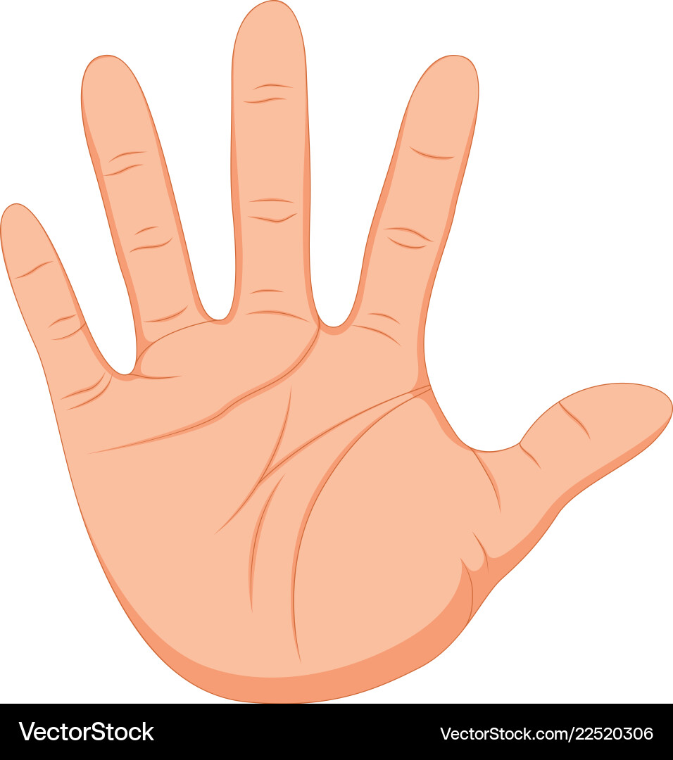 Hand gesture with smooth skin Royalty Free Vector Image