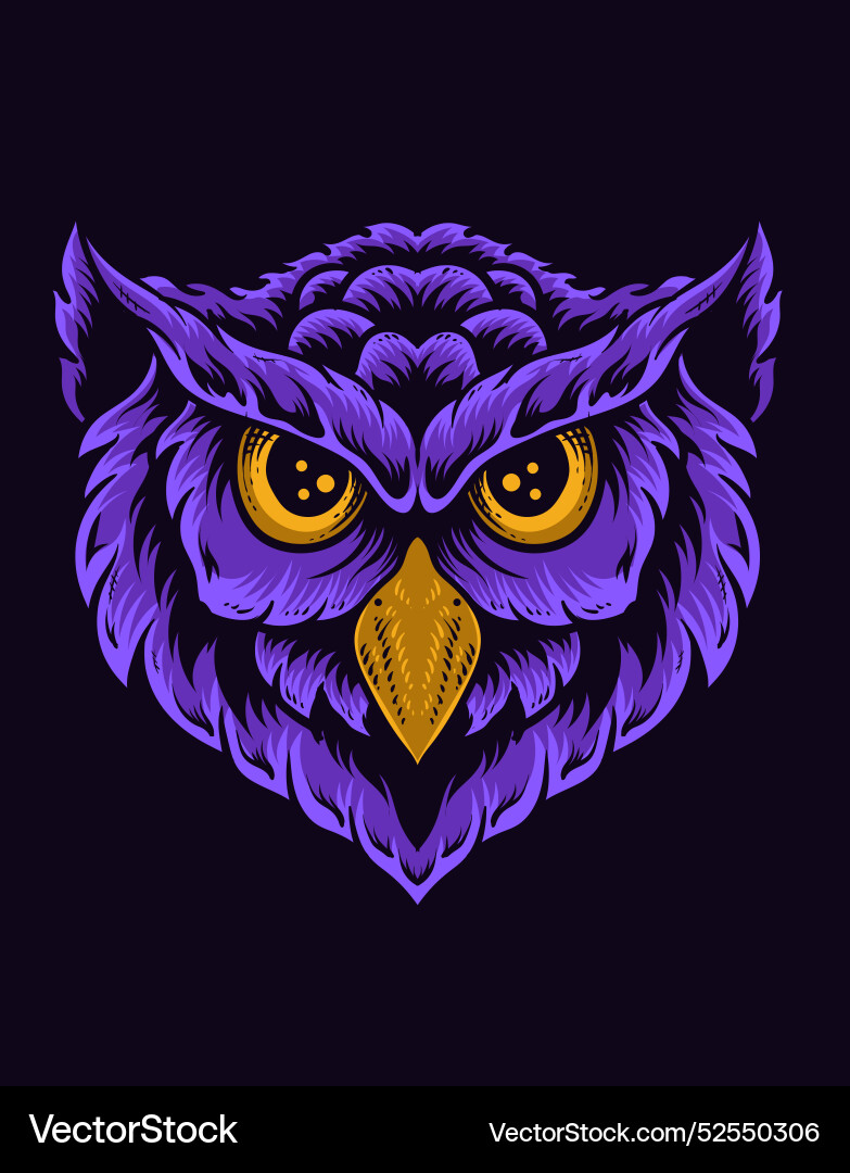 Owl bird head on black background Royalty Free Vector Image