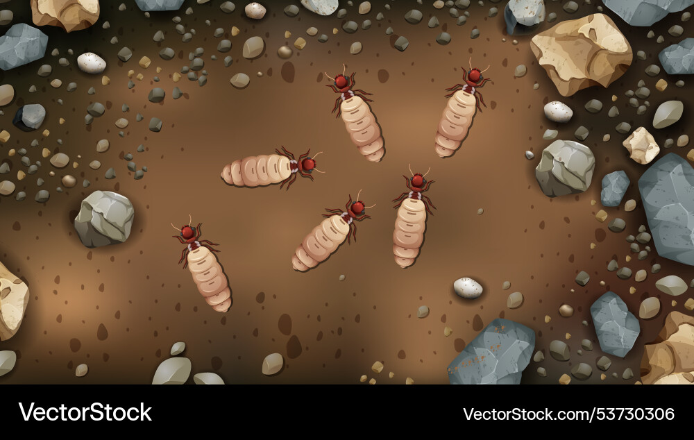 Six insects burrowing in rocky soil Royalty Free Vector