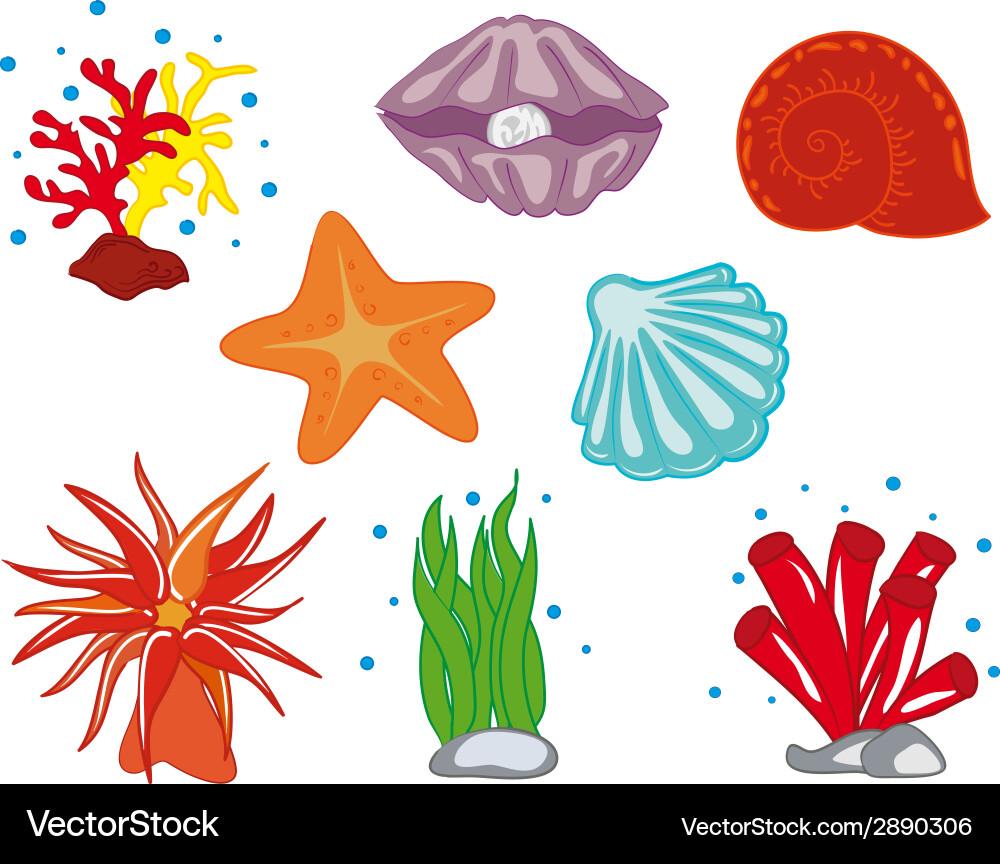 Tropical ocean flora Royalty Free Vector Image