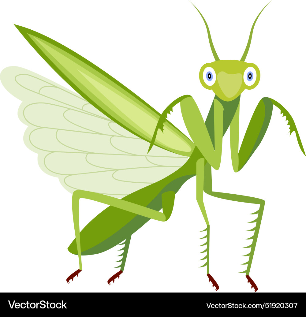 Webforest mantis icon designed in flat style Vector Image