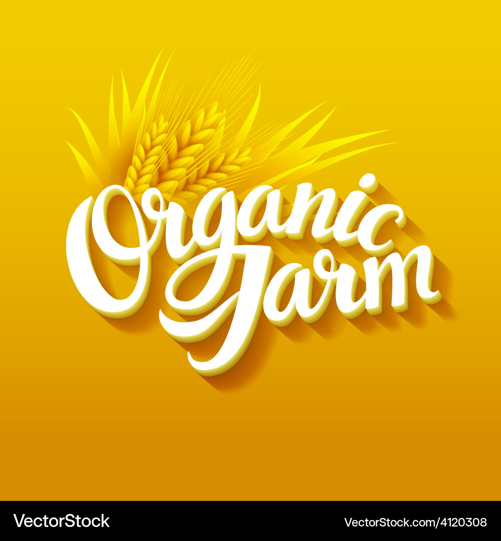 Organic Farm Wheat Logo Royalty Free Vector Image