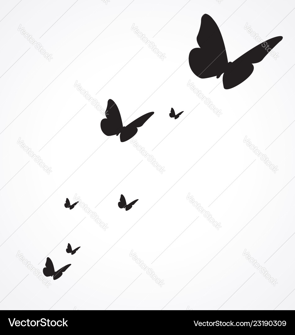 Butterflies Flying Silhouette Flying Butterfly Silhouette Photos,