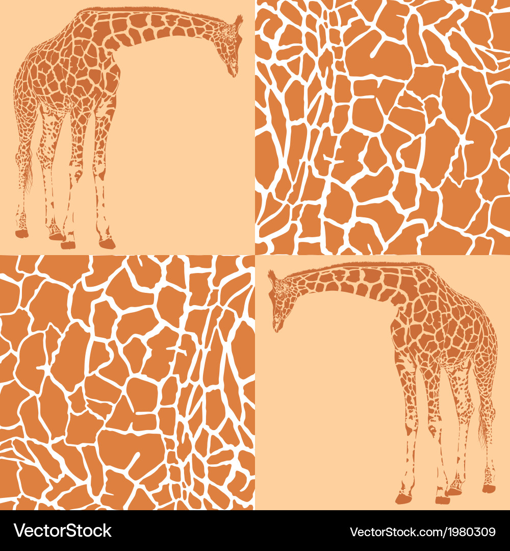Giraffe patterns for wallpaper Royalty Free Vector Image