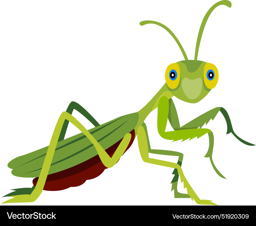 Weba flat icon of tree mantis Royalty Free Vector Image