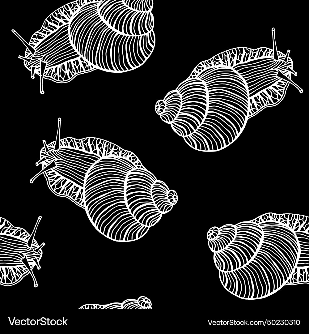 Black and white hand drawn snails brown beige Vector Image