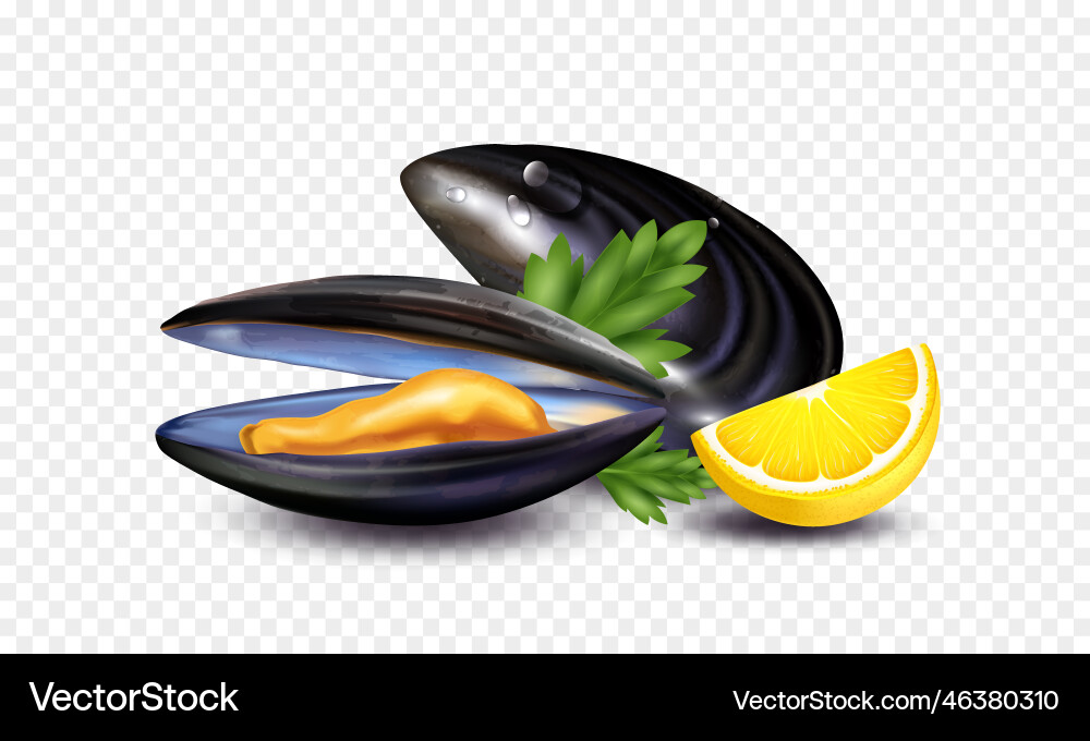 Realistic mussels transparent composition Vector Image
