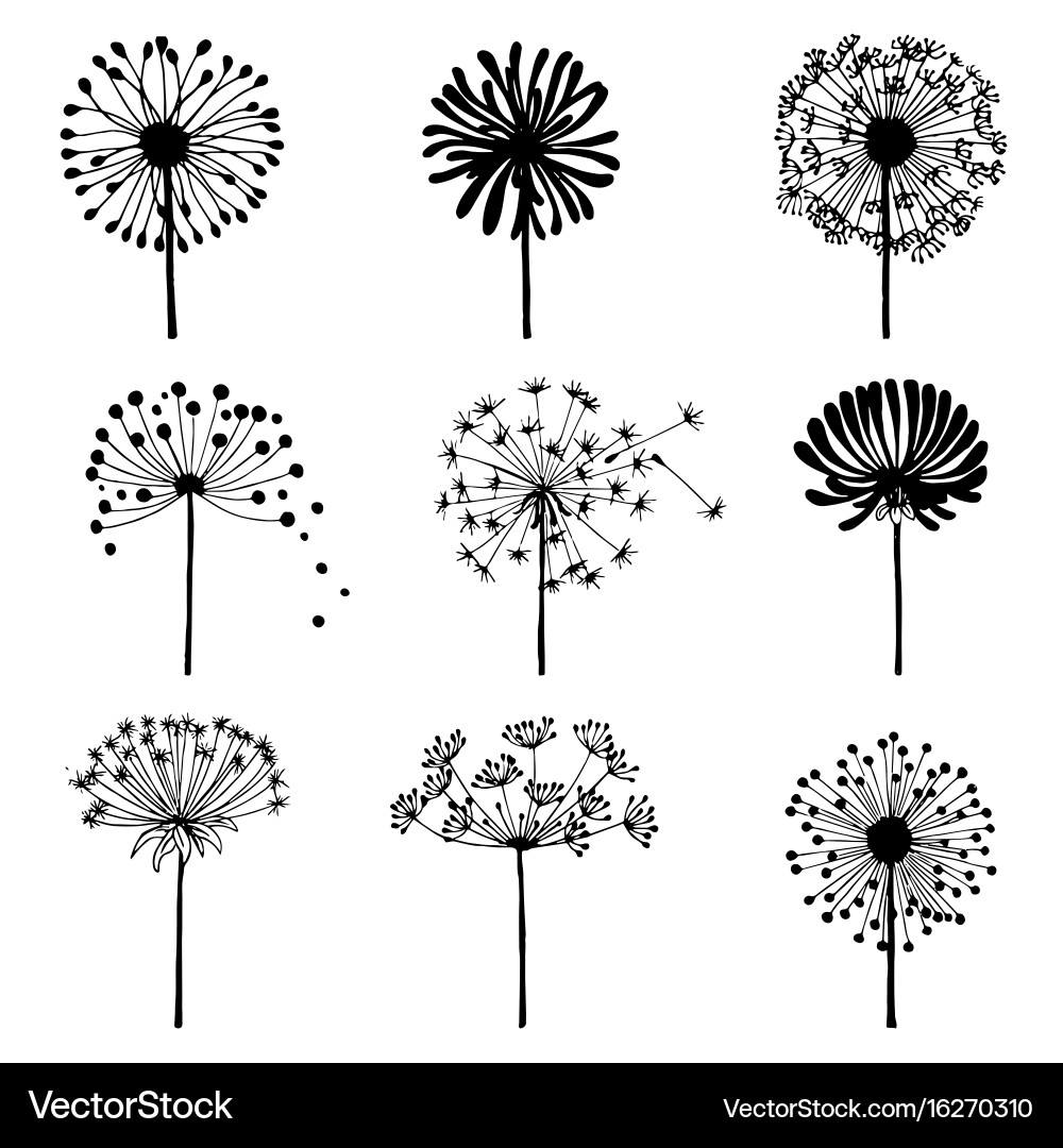 Set doodle dandelions decorative elements Vector Image