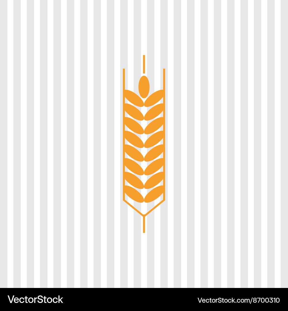 Wheat icon grain design agriculture concept Vector Image
