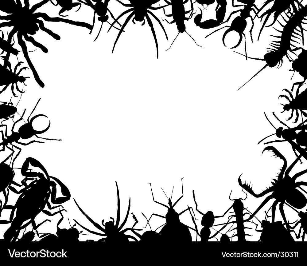 Insect Border Frame Royalty Free Vector Image - VectorStock