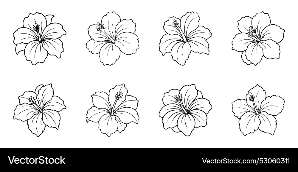 Line art of a hibiscus Royalty Free Vector Image