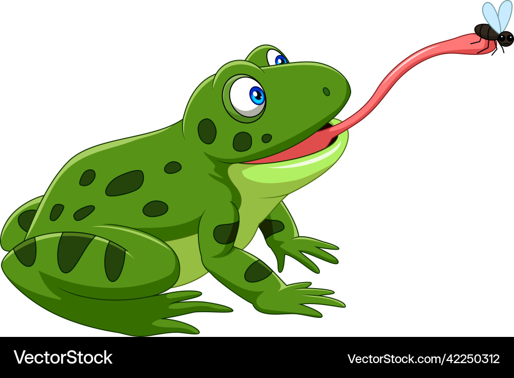 Images Of Frog Eating Insects