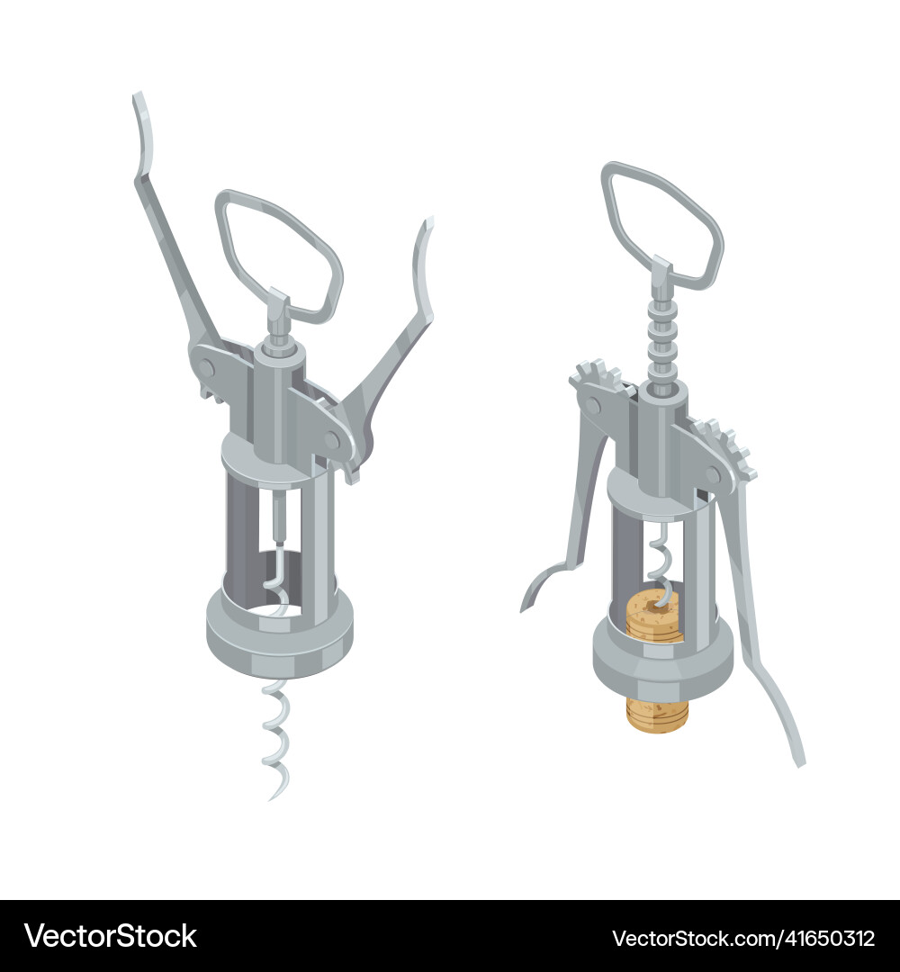 Classic metal corkscrew set with cork for opening Vector Image