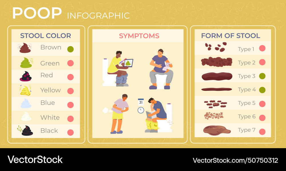 Poop flat infographic composition Royalty Free Vector Image